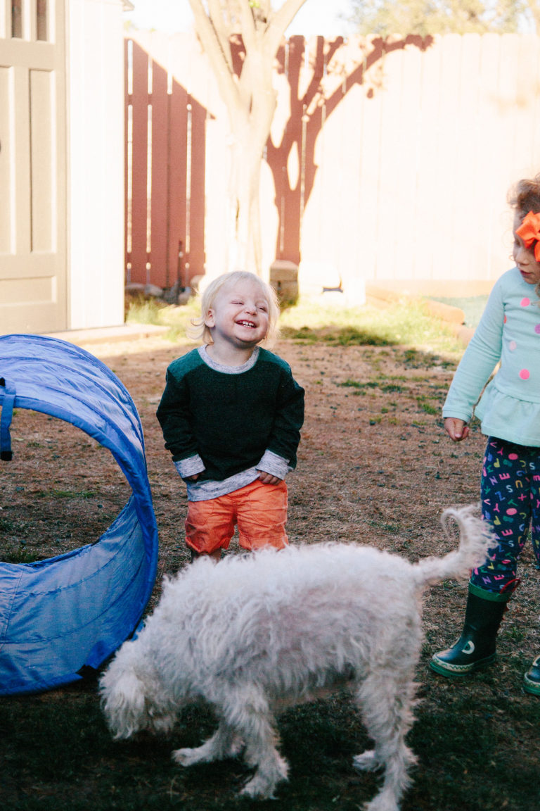 Kids + Canines - Playfully