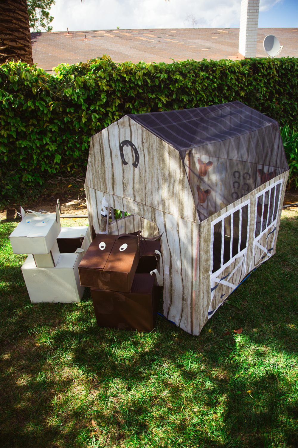 Horse_Barnyard_34 - Playfully